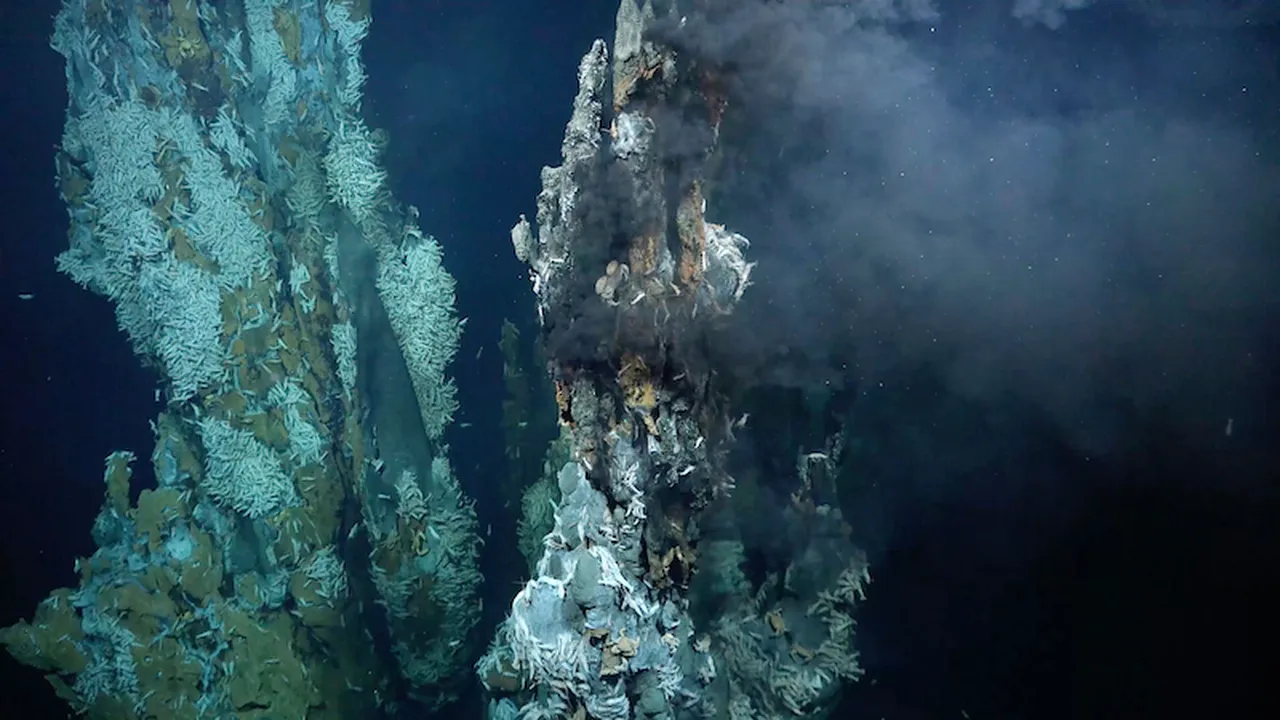 hydrothermal vent temp