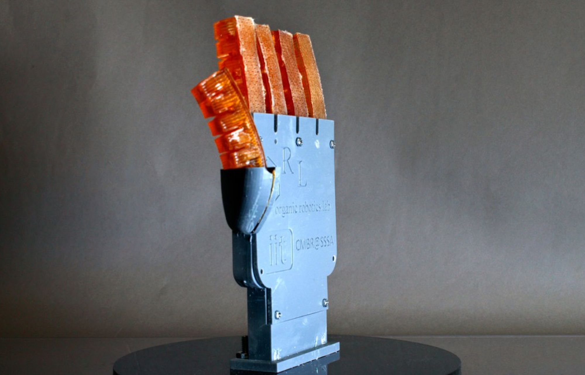 This Robotic Hand Stays Cool by Sweating
