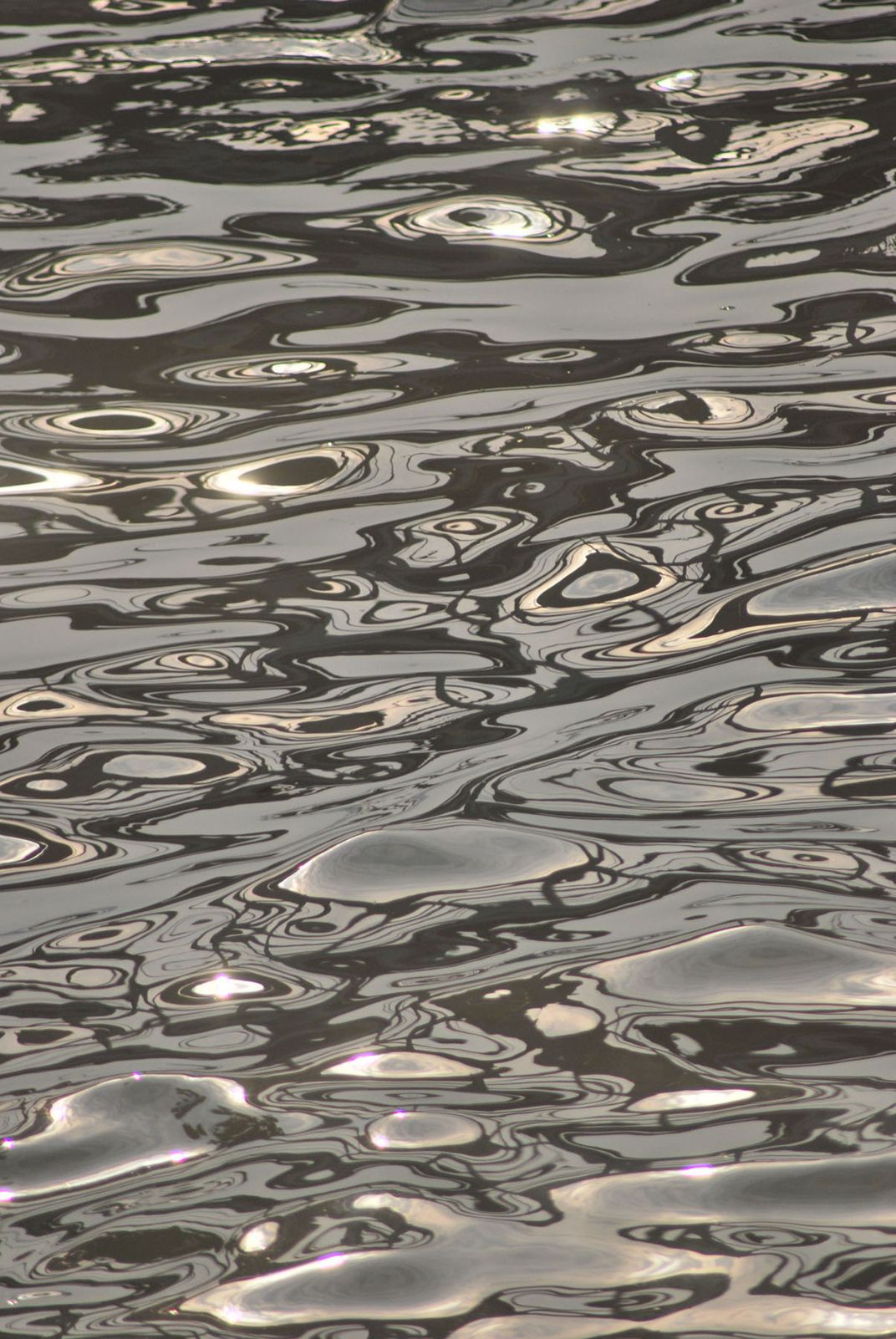 Water pattern | Smithsonian Photo Contest | Smithsonian Magazine