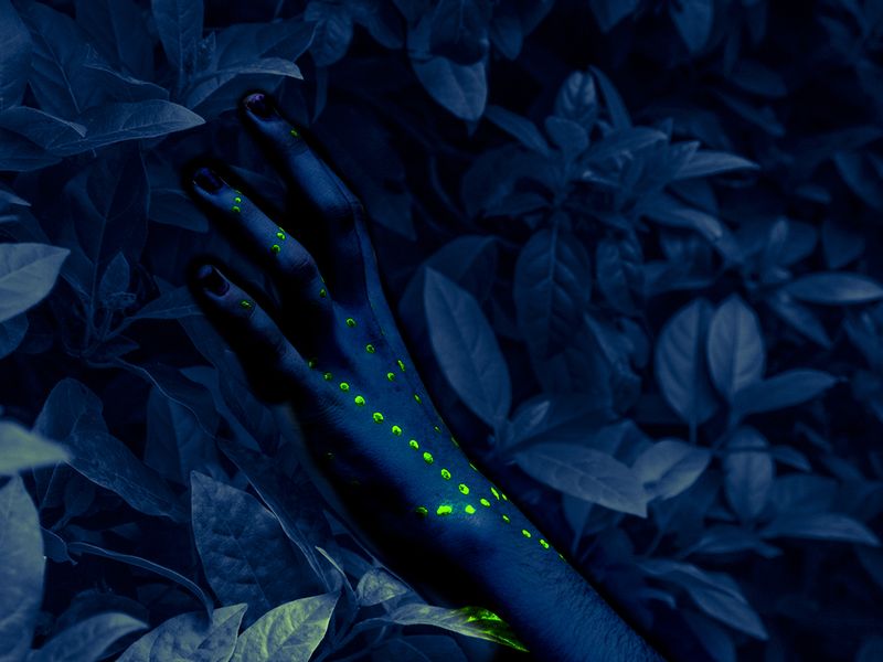 Mother Nature's hand | Smithsonian Photo Contest | Smithsonian Magazine