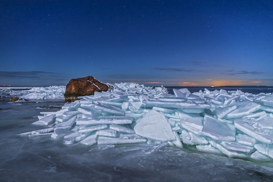 Early Spring Moonlight Serenade | Smithsonian Photo Contest ...