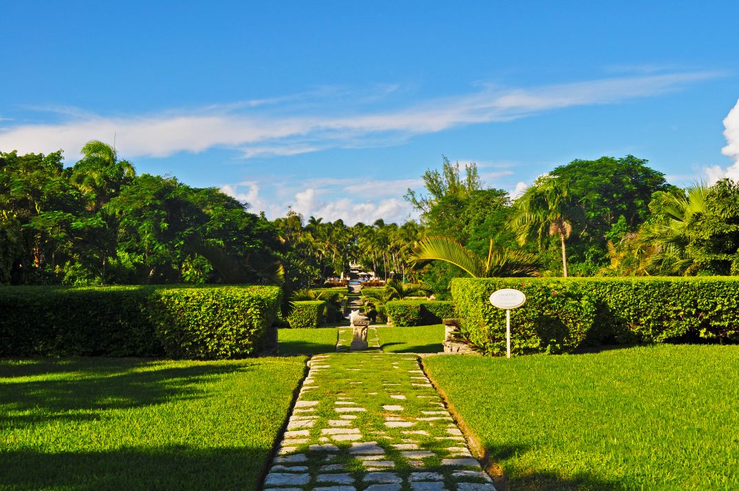 The path of greenery. | Smithsonian Photo Contest | Smithsonian Magazine