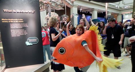 Dancing Splash Mob Floods the Natural History Museum | Smithsonian