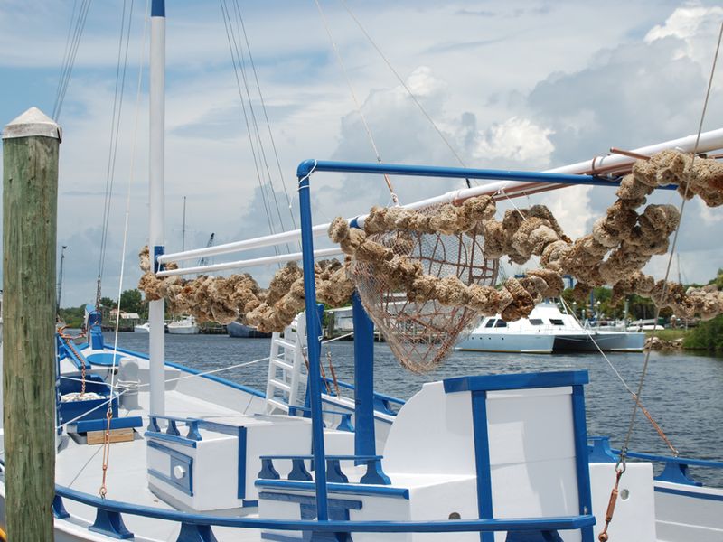 taken at the sponge docks in tarpon springs, fl. a very Greek community ...