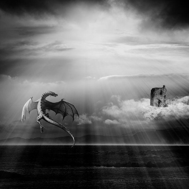 Octopus Dragon Dragon City