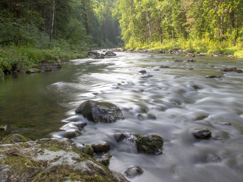 taiga river with Siberia | Smithsonian Photo Contest | Smithsonian Magazine