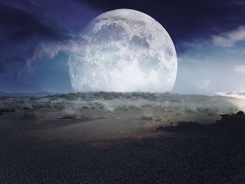 Desert Moon, Black Sunset | Smithsonian Photo Contest | Smithsonian ...