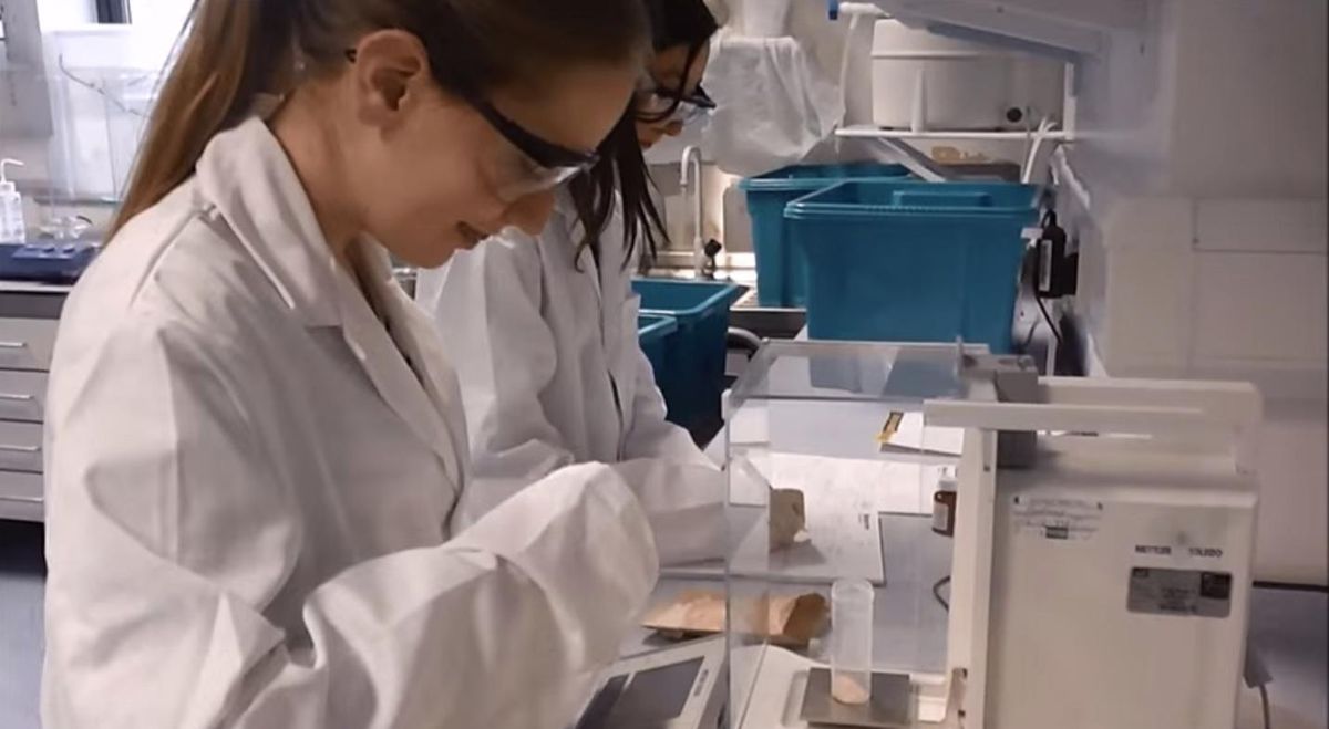 Meet the Teen Winners of Google's Science Fair | Smithsonian