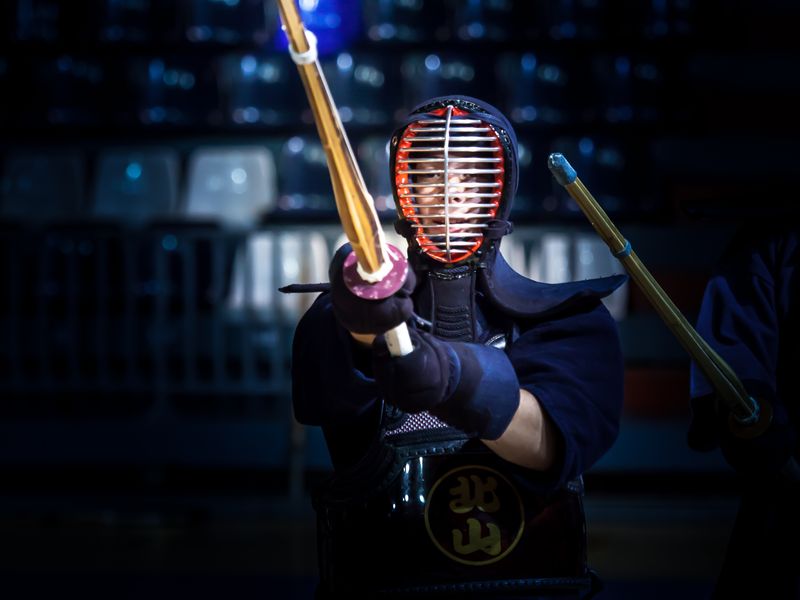 Kendo attack | Smithsonian Photo Contest | Smithsonian Magazine