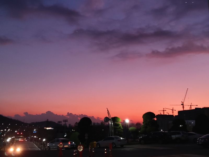 A wonderful sunset in university campus | Smithsonian Photo Contest ...