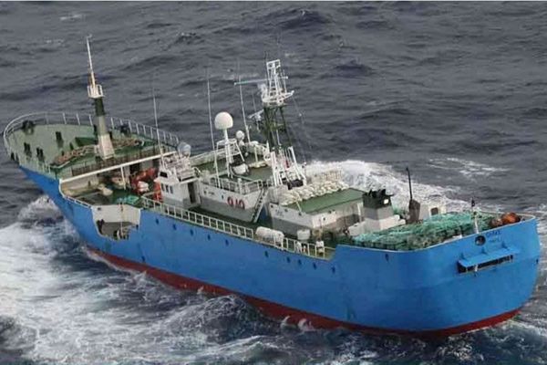 INTERPOL Is After “the Snake,” a Notorious Illegal Fishing Vessel