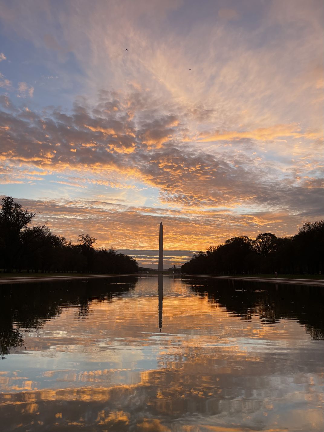 Sun rising over the Washington Monument | Smithsonian Photo Contest ...