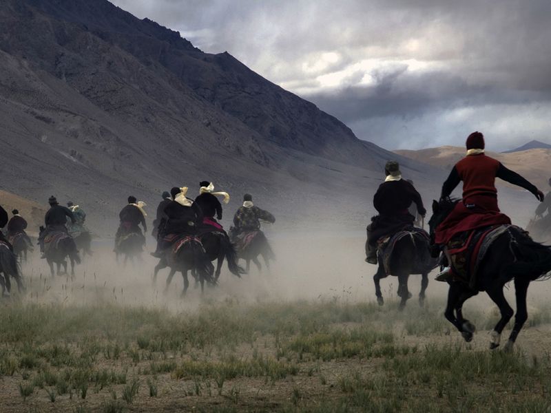 Horse race of the Changpa tribesmen in southern Ladakh | Smithsonian ...