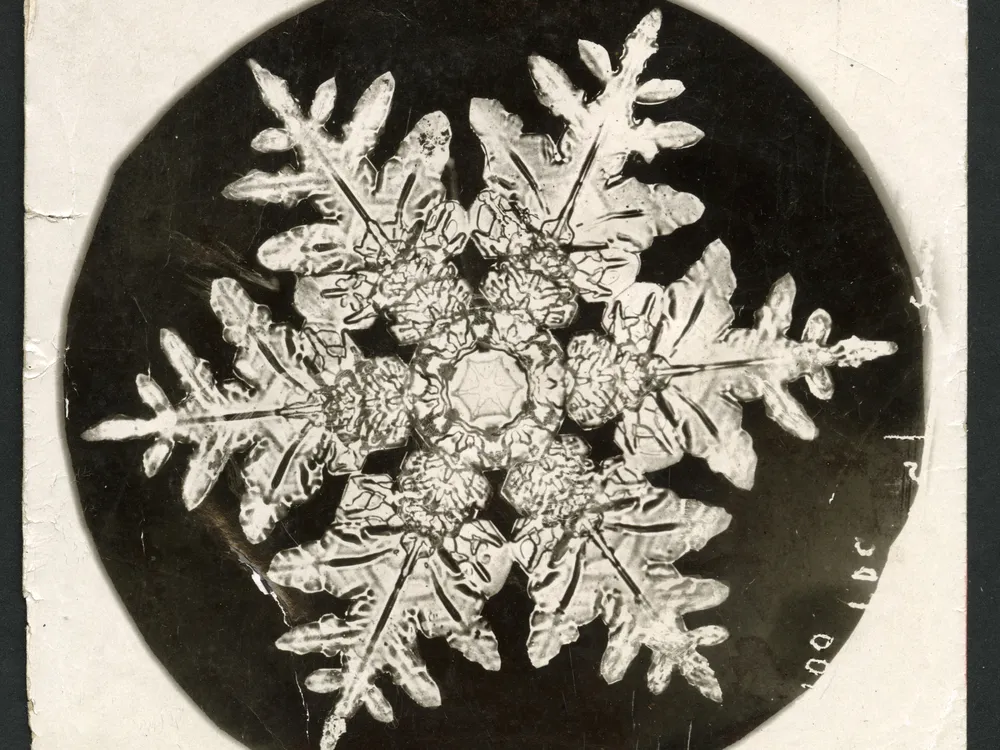 The Man Who Revealed the Hidden Structure of Falling Snowflakes