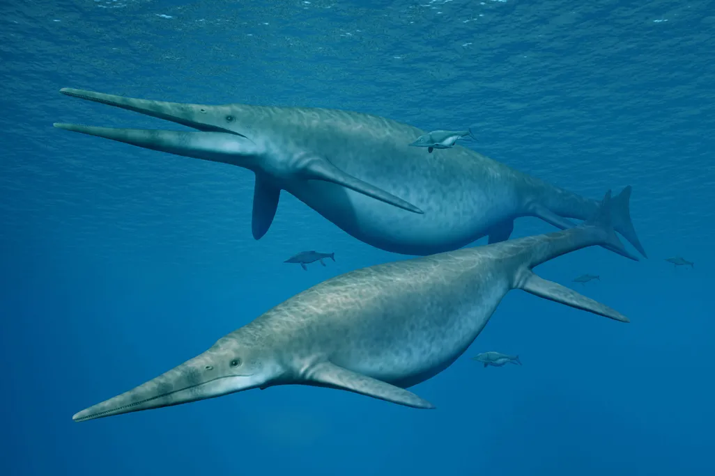 ichthyosaurs size