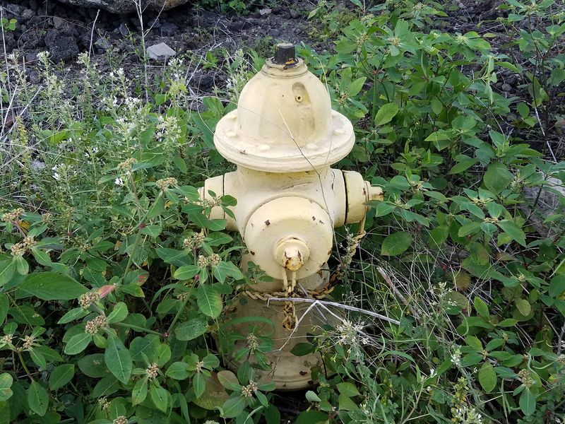 Fire Hydrant | Smithsonian Photo Contest | Smithsonian Magazine