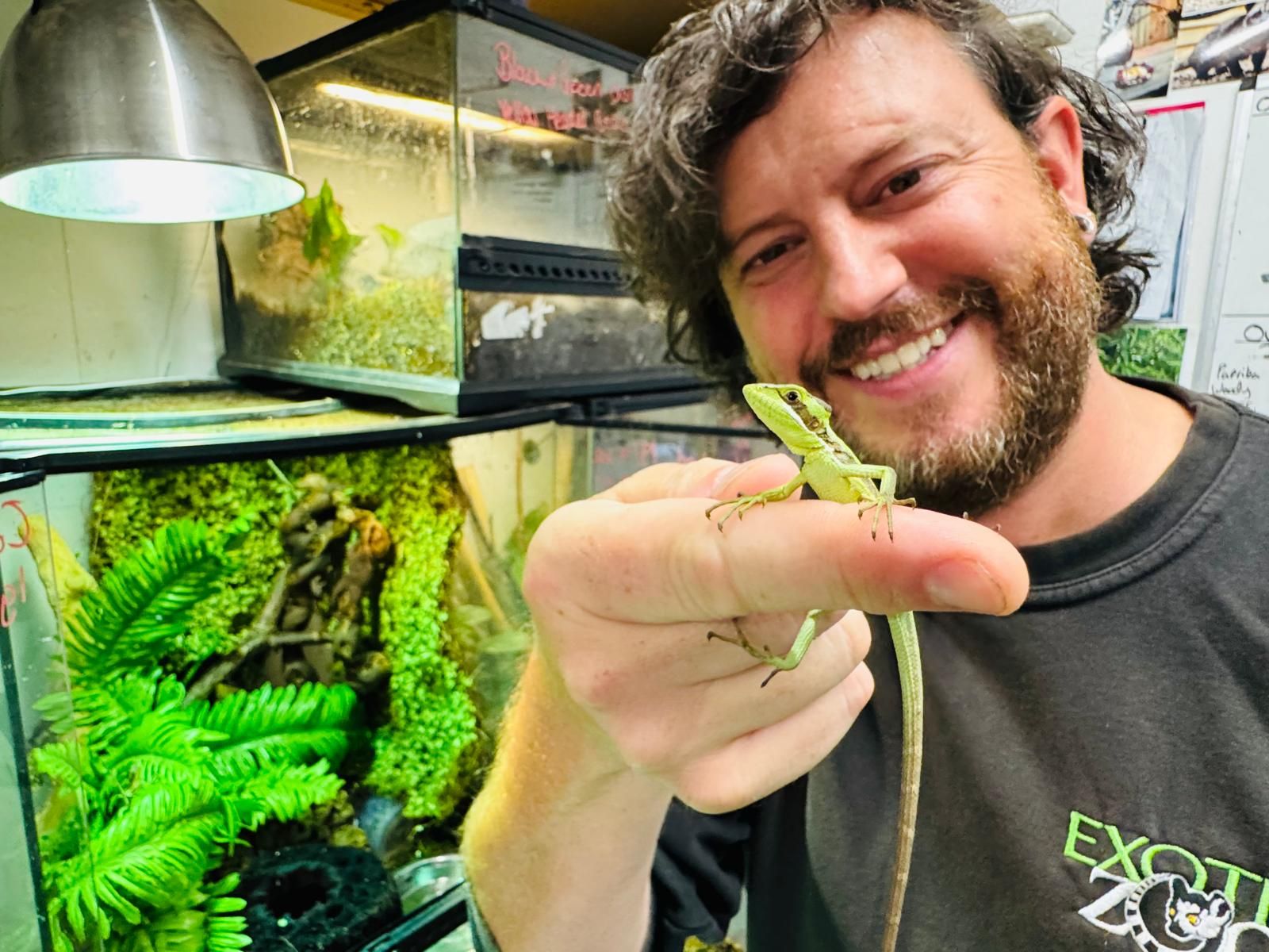 'Once in a Lifetime': Rare 'Virgin Birth' of Eight Iguana Babies ...