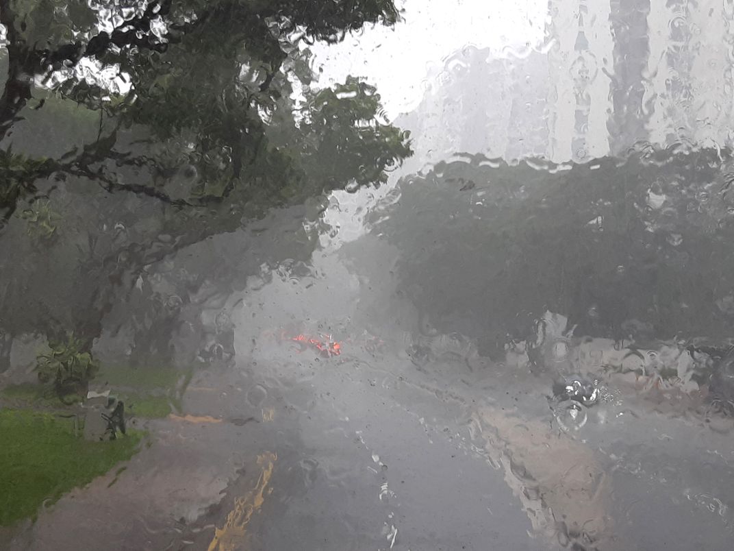 Downpour | Smithsonian Photo Contest | Smithsonian Magazine