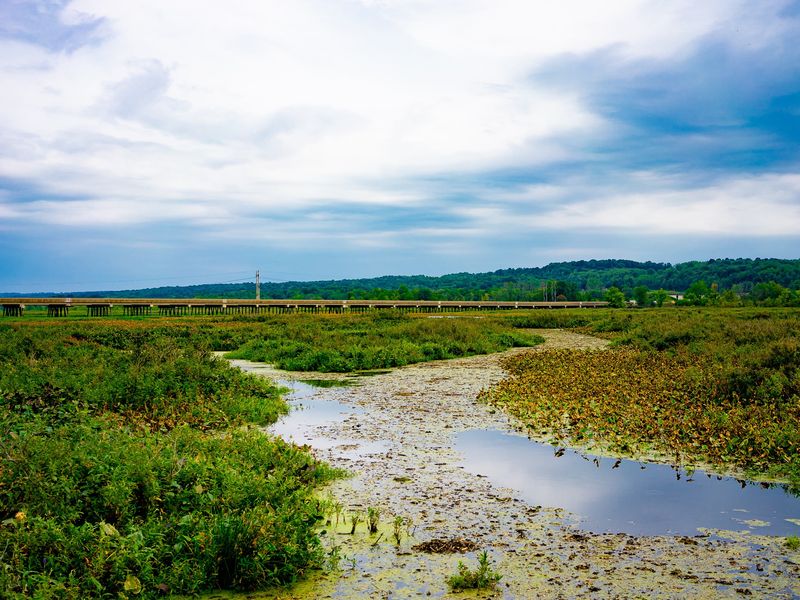 I-79 Bridge Geneva Marsh | Smithsonian Photo Contest | Smithsonian Magazine