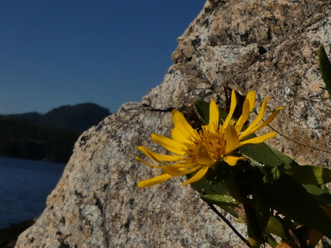Isolation | Smithsonian Photo Contest | Smithsonian Magazine