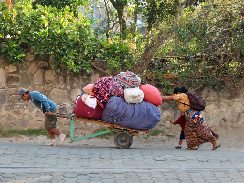 Moving a heavy load | Smithsonian Photo Contest | Smithsonian Magazine