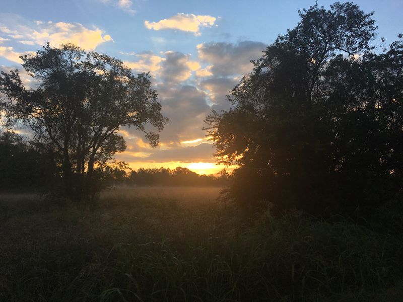 Sunrise over the pasture | Smithsonian Photo Contest | Smithsonian Magazine