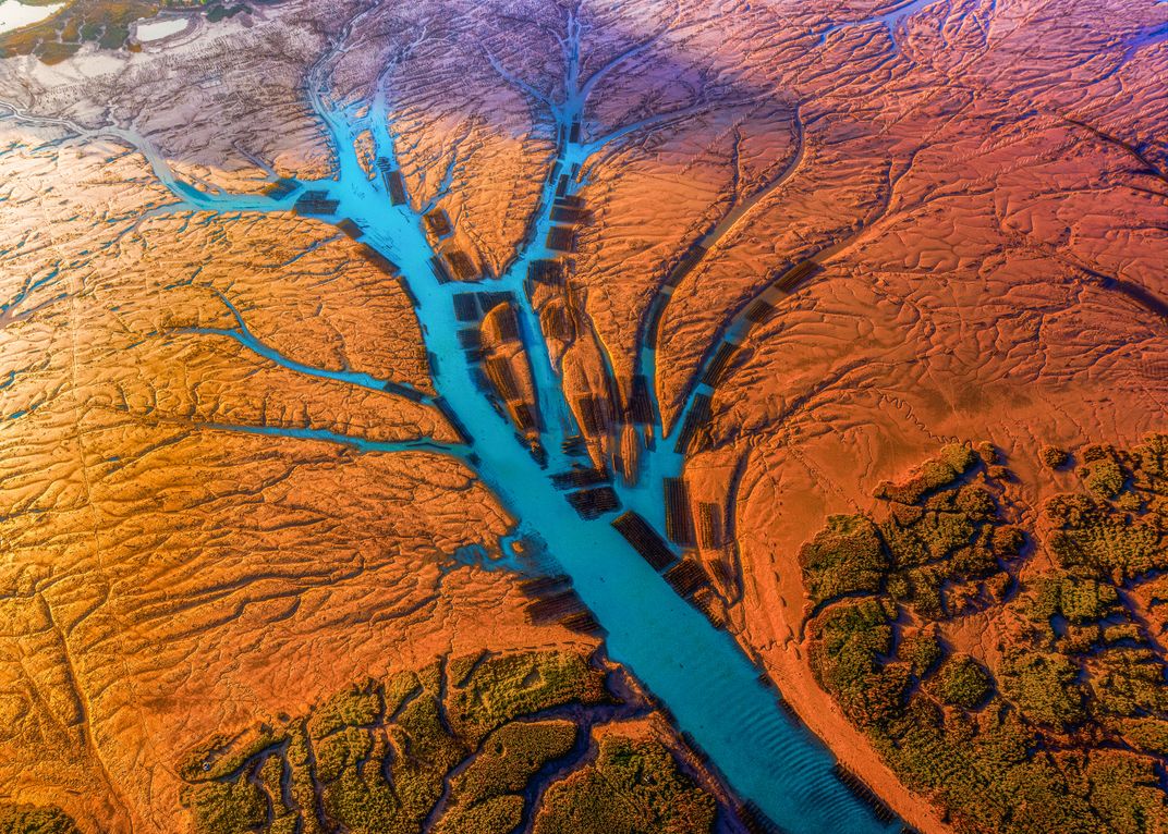 《Xiapu Tidal Tree》 | Smithsonian Photo Contest | Smithsonian Magazine