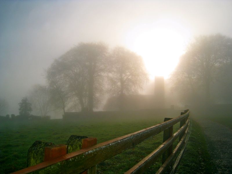 Path to a cemetery one foggy morning in Ireland. | Smithsonian Photo ...