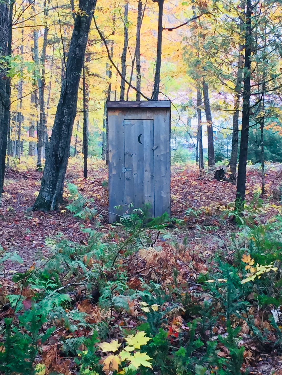 Outhouse in the fall | Smithsonian Photo Contest | Smithsonian Magazine