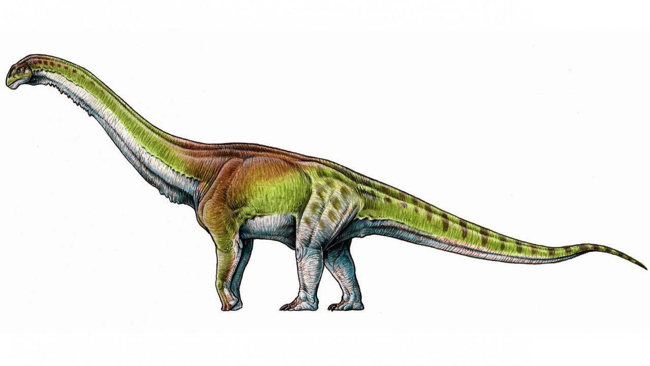 largest argentinosaurus