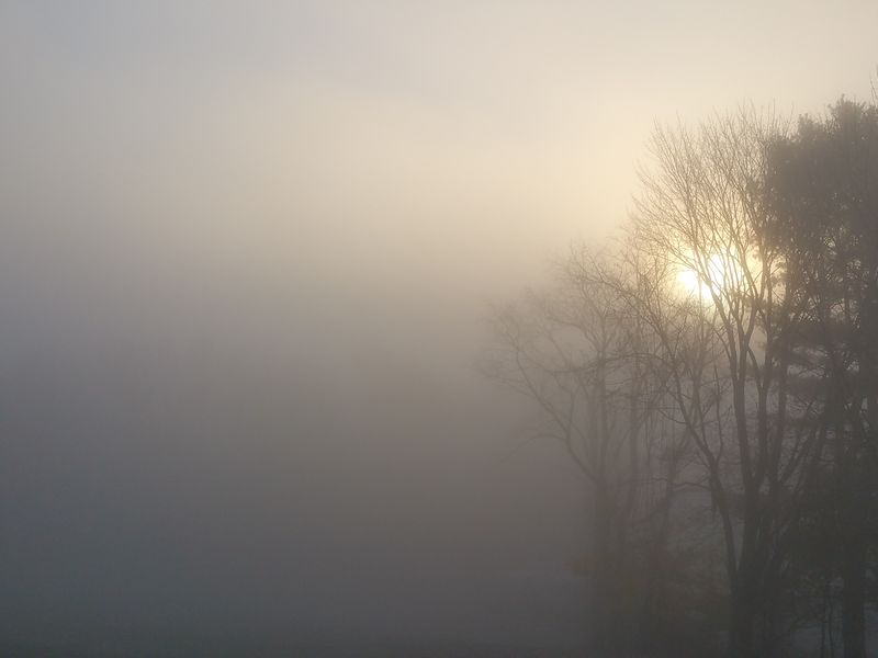 Morning sun breaks through the fog | Smithsonian Photo Contest ...