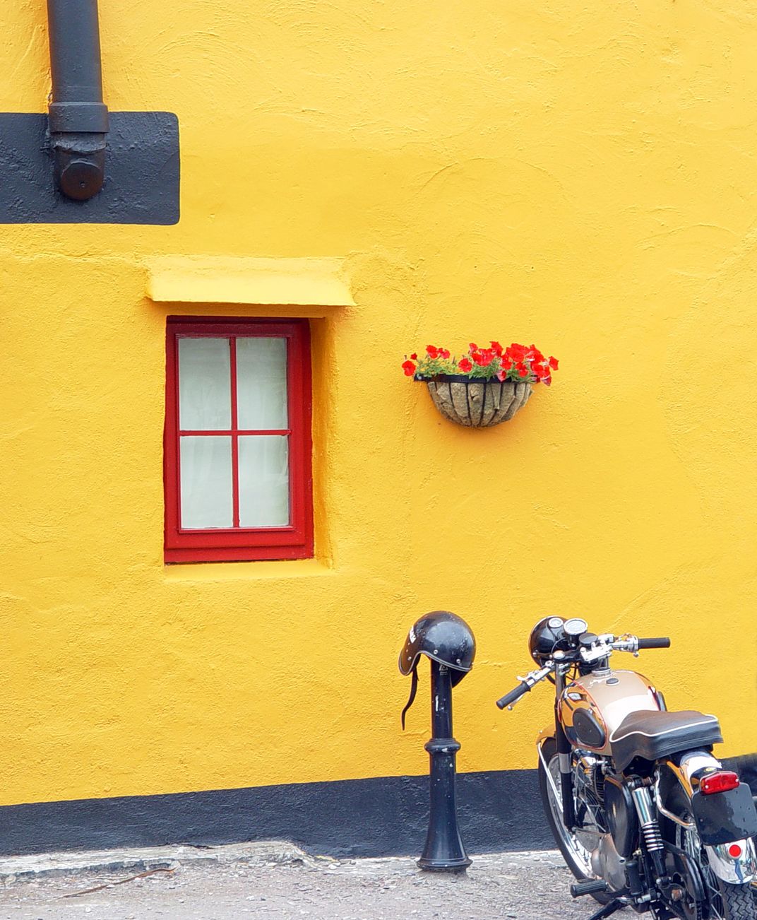 Yellow in Ireland | Smithsonian Photo Contest | Smithsonian Magazine