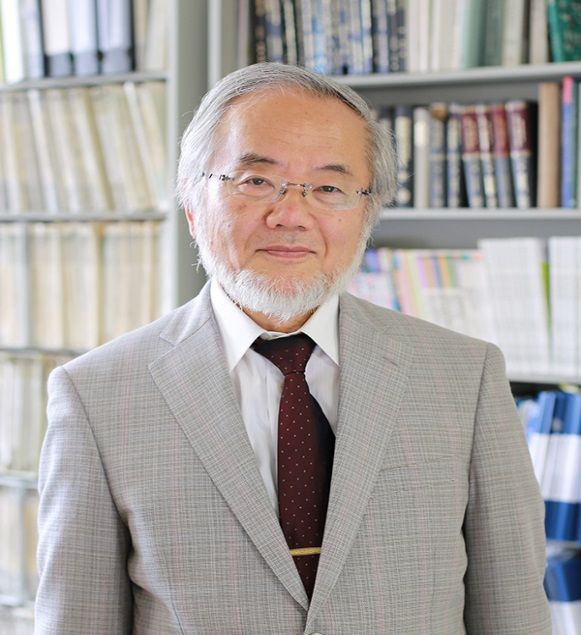 Japanese Scientist Wins Nobel Prize for Discovering How Cells ...