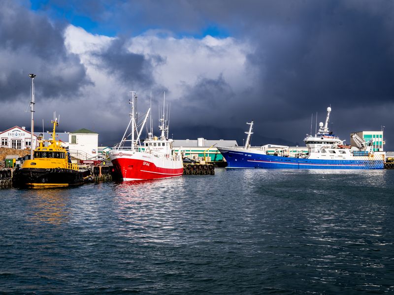 Early morning Harbor Photo in Hofn, Iceland | Smithsonian Photo Contest ...