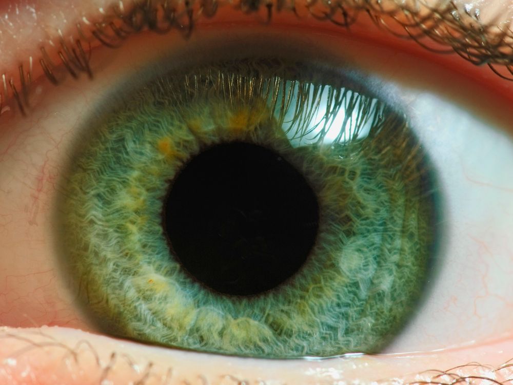 Here’s Why Your Eyes Seem to Be Wired 'Backward'