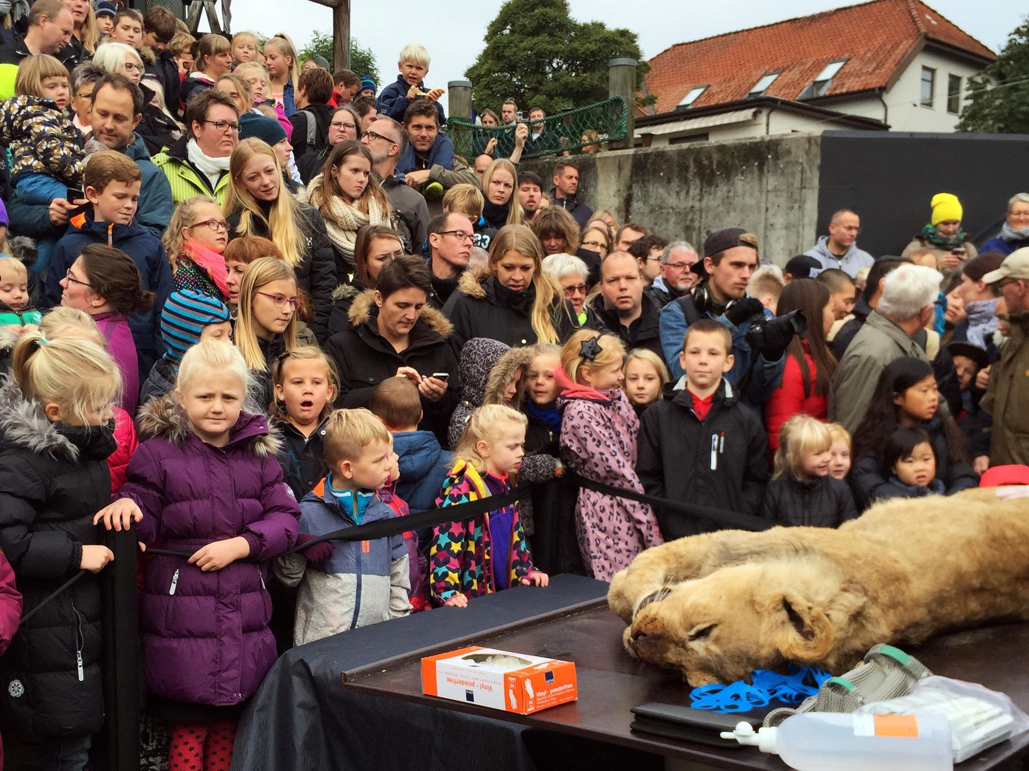 Why a Denmark Zoo Publicly Dissected a Lion