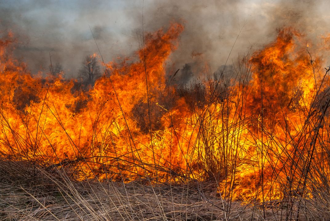 Prairie Burning in Central Wisconsin | Smithsonian Photo Contest ...