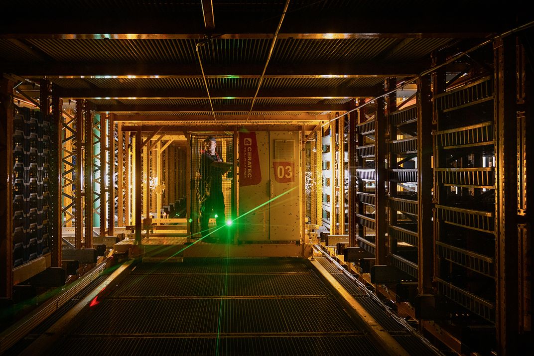 Maggots Are an Incredibly Efficient Source of Protein, Which May Make ...