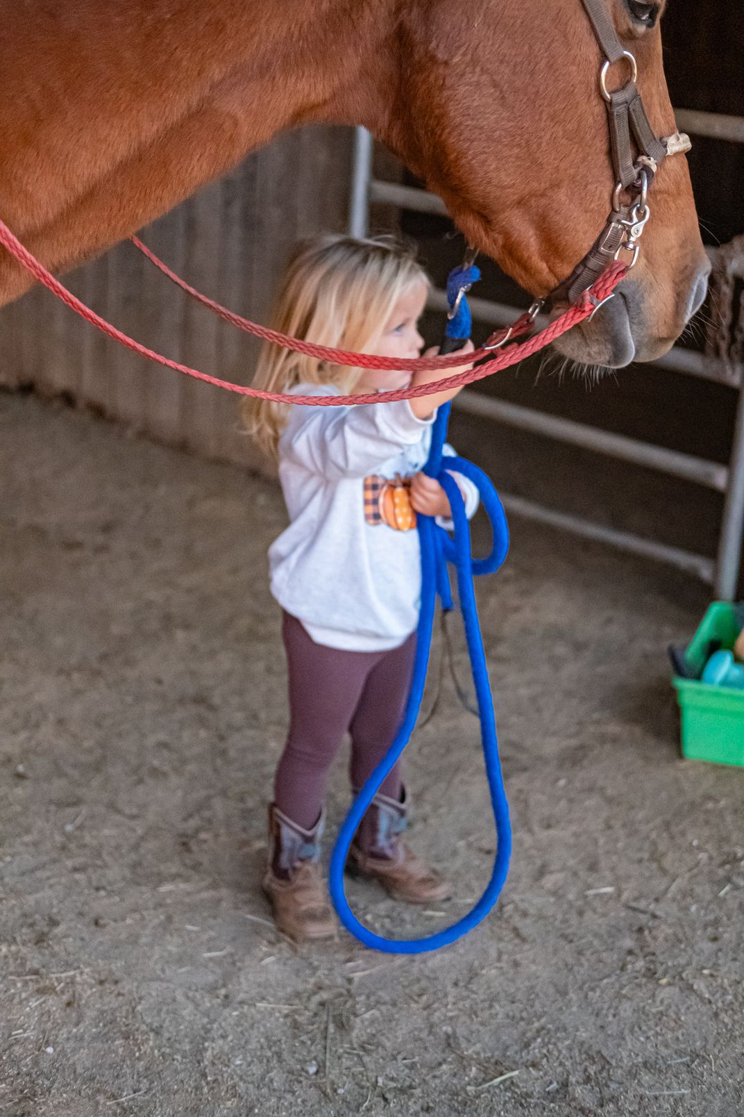 What is Generational Farming? | Smithsonian Photo Contest | Smithsonian ...