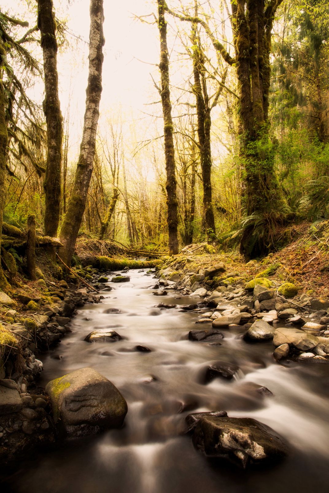 Down Stream | Smithsonian Photo Contest | Smithsonian Magazine