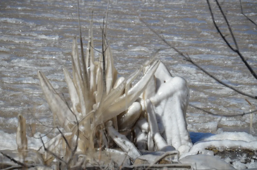 Nature formed a Nativity Scene of Ice | Smithsonian Photo Contest ...