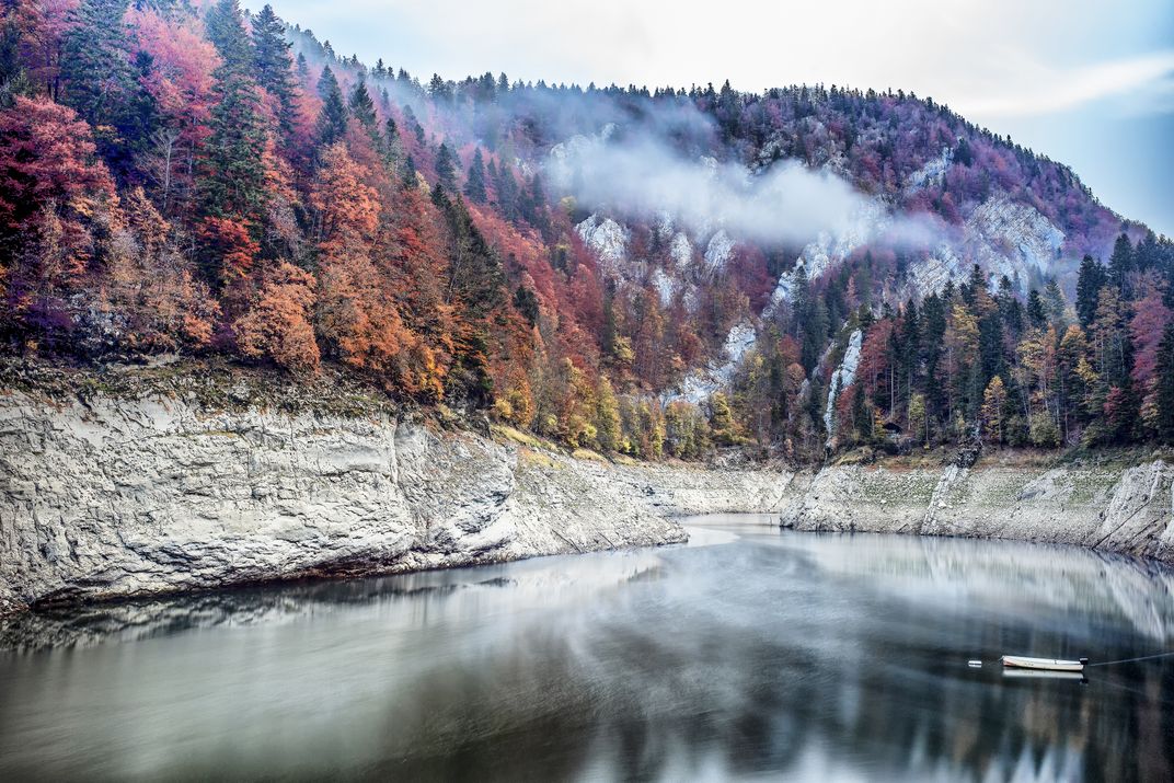 A pretty autumn forest on the French-Swiss border. | Smithsonian Photo ...