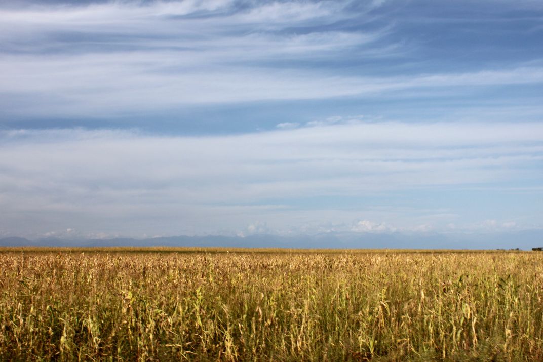  No Straight Lines In Nature Smithsonian Photo Contest Smithsonian 
