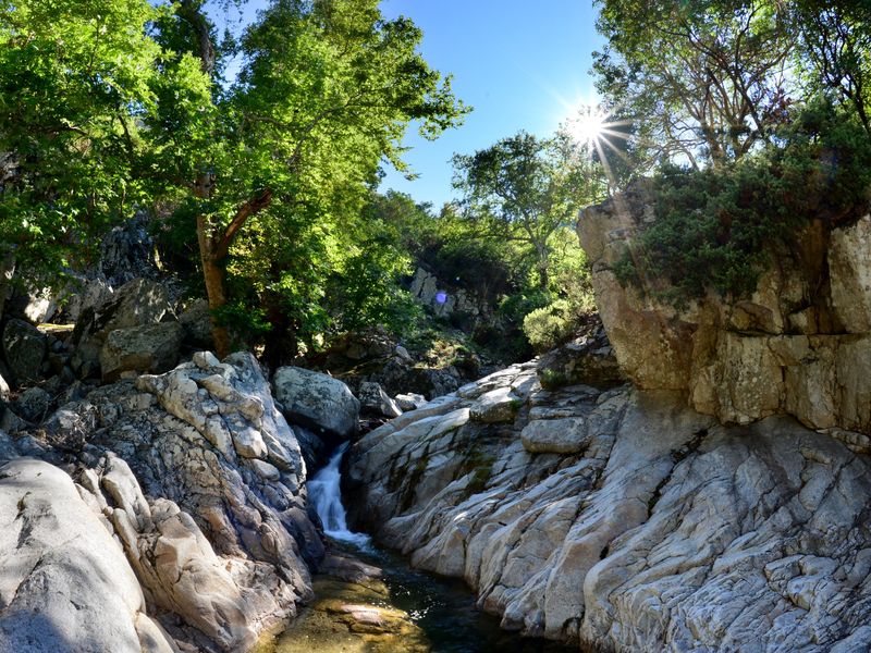 Small waterfalls at the forest in Samothraki | Smithsonian Photo ...