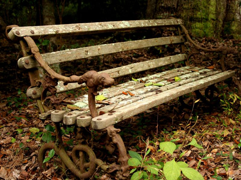 Bench in the gardens of Hampton Plantation created by Archibald ...