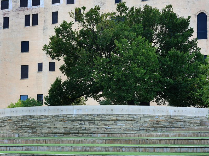 The Survivor Tree at the site of the Oklahoma City bombing ...