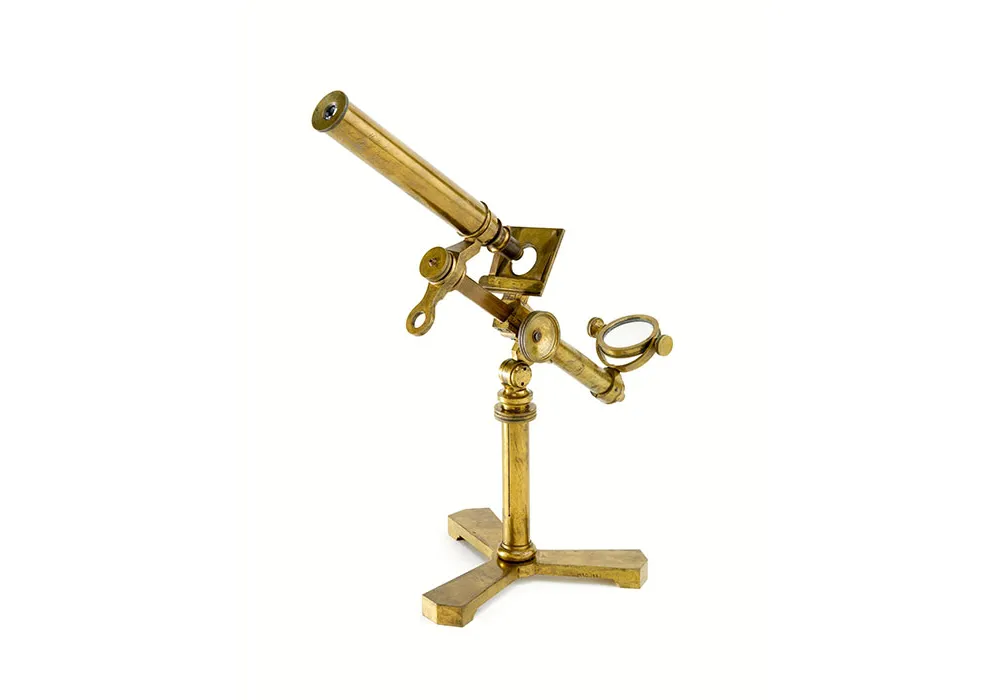 Nearly Two Million Years of Innovation, As Told Through Tools