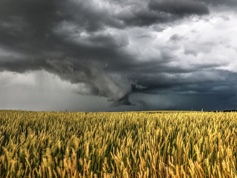 Storm over Wheat Field | Smithsonian Photo Contest | Smithsonian Magazine