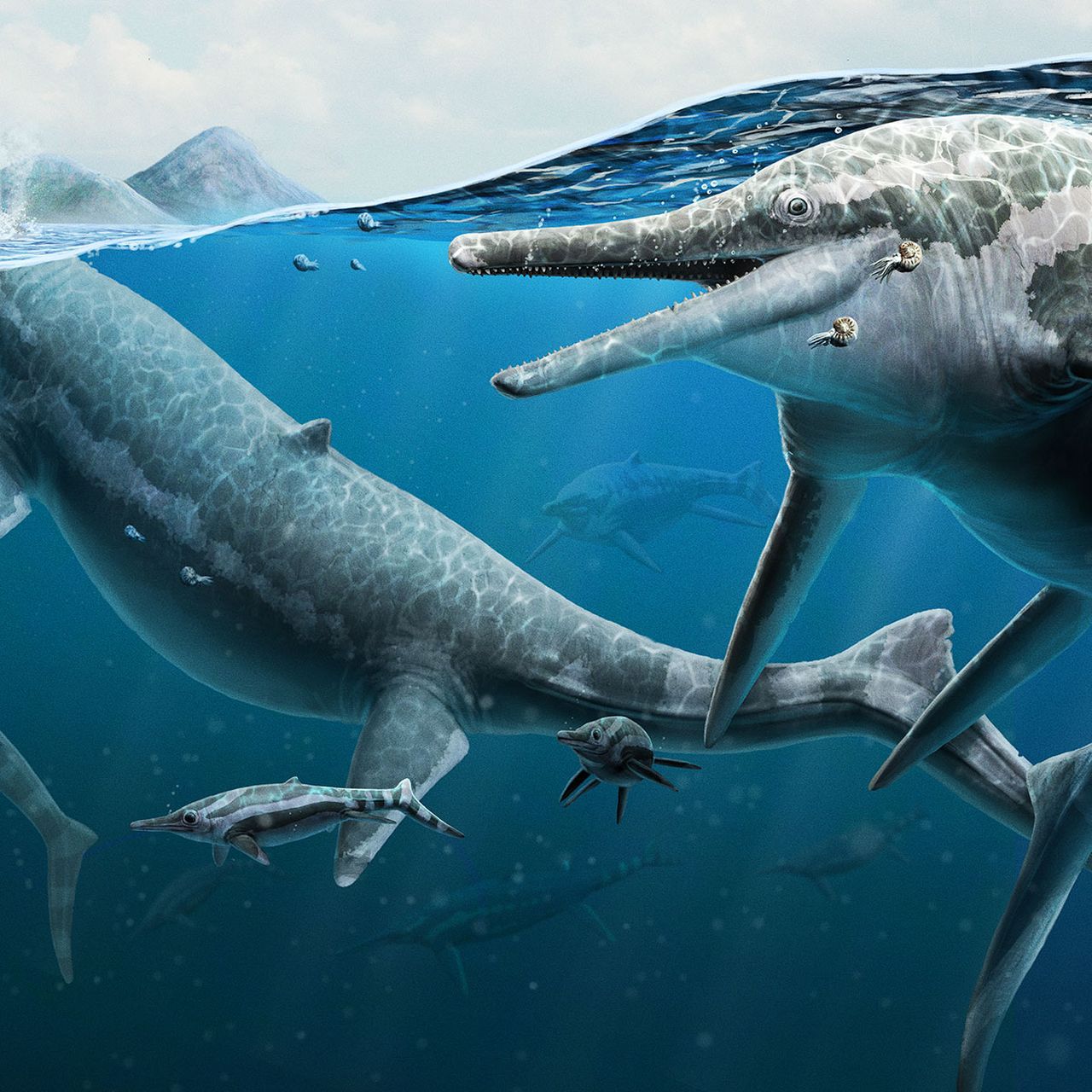 Shonisaurus Vs Megalodon