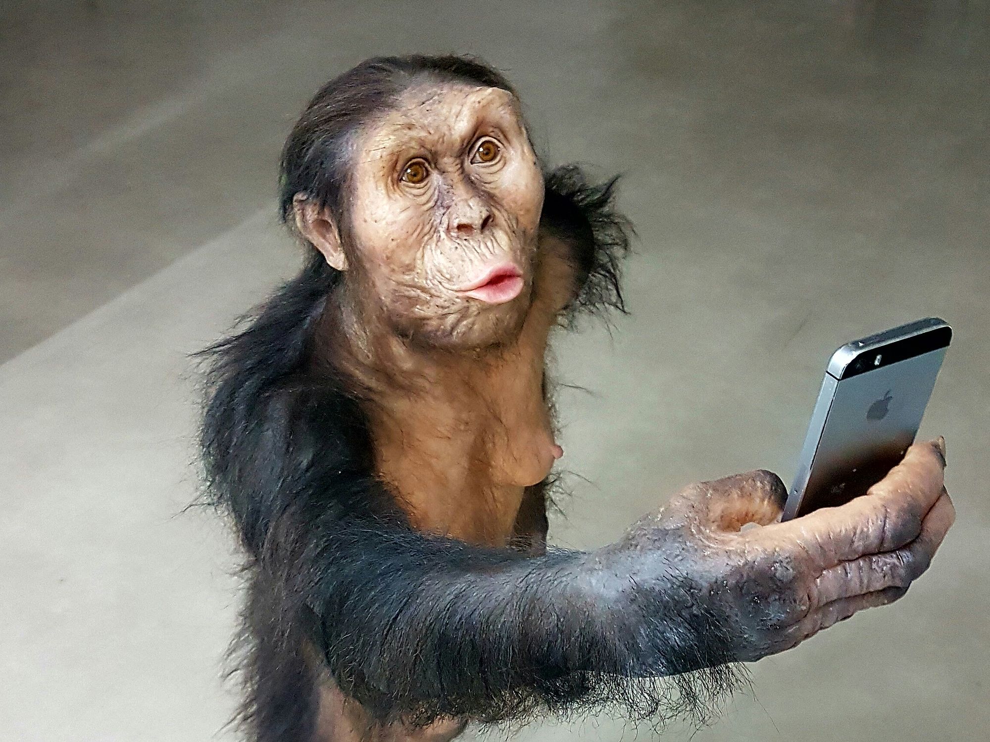 Lucy’s Legacy: Celebrating the 48th Anniversary of Her Discovery with a ...